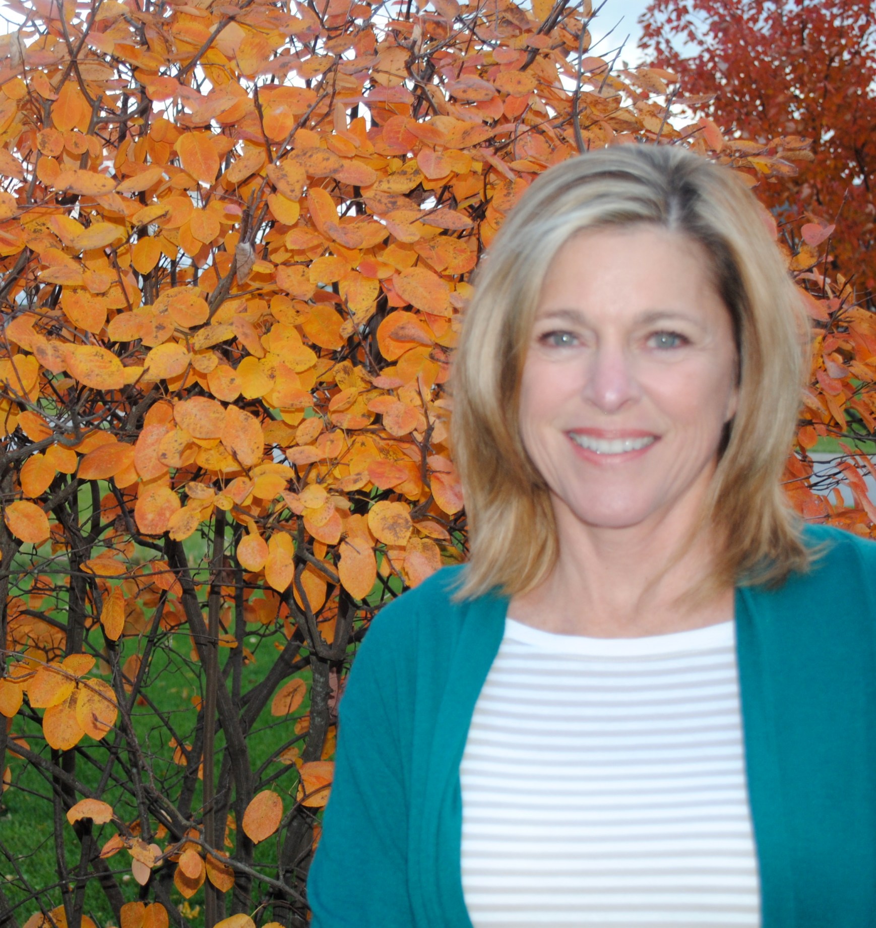 Donna Harris Art | Donna Harris­‑More Grace