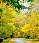 A Promise | Donna Harris­‑More Grace